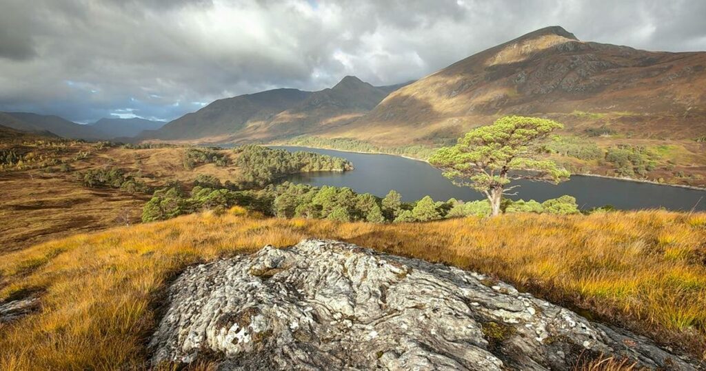 Learn about Scotland’s ‘rewilding’ with Nature Speaks – bwuphoto.com