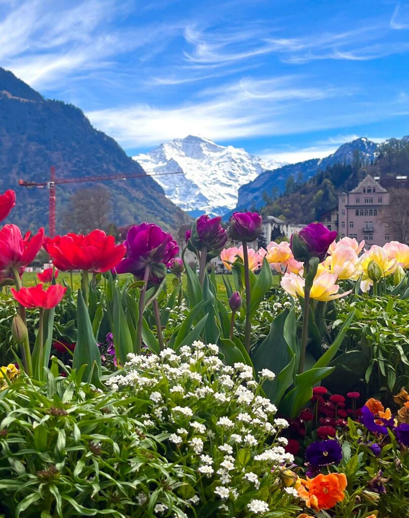 Readers Photo Challenge: Bringing May Flowers – bwuphoto.com
