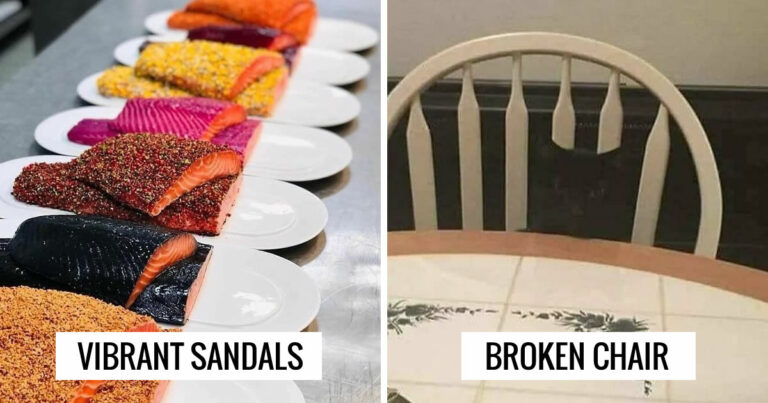 30 Photos With Misleading Captions That Completely Shift Your ...