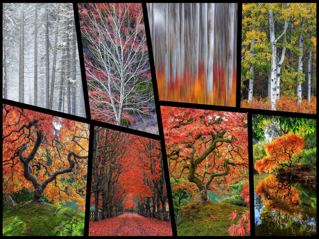 Where What and How to Hang Vertical Art Prints – bwuphoto.com